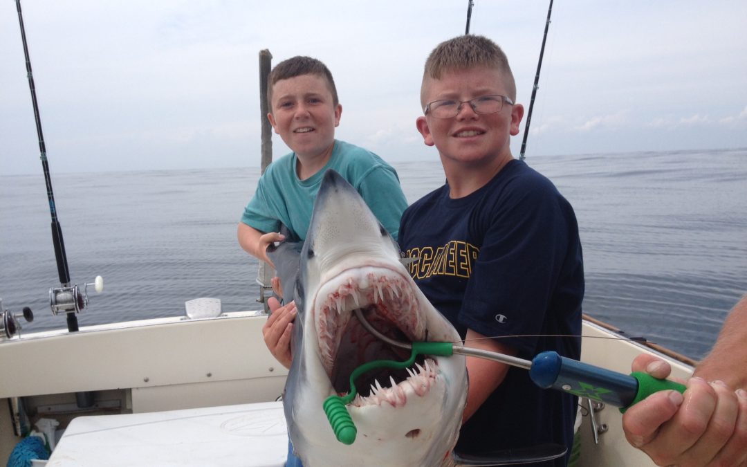 O’Sh-shark | Osterville Anglers Club